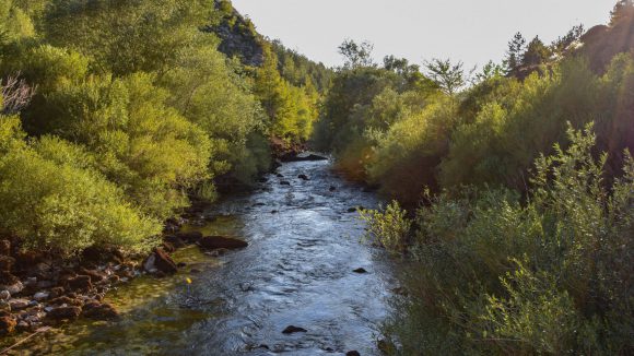 Naslovna - Grad Knin